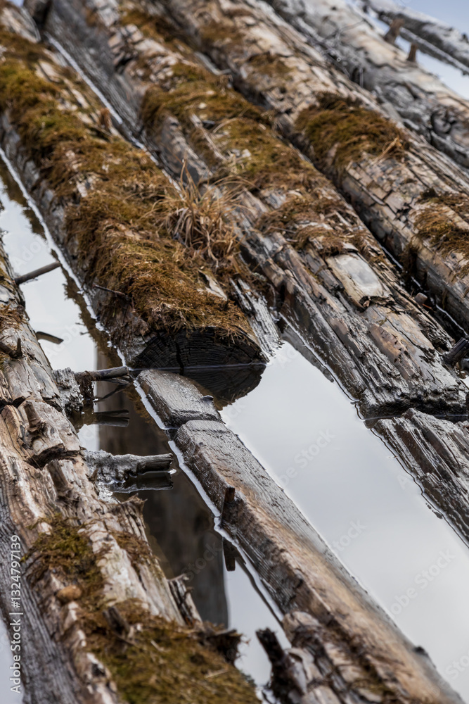 Decaying floating pontoon made of logs, covered in moss, drifting in ...