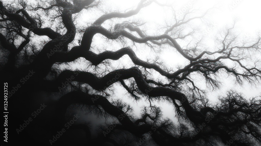 Machine learning decision tree forming elegant branching patterns Stock ...