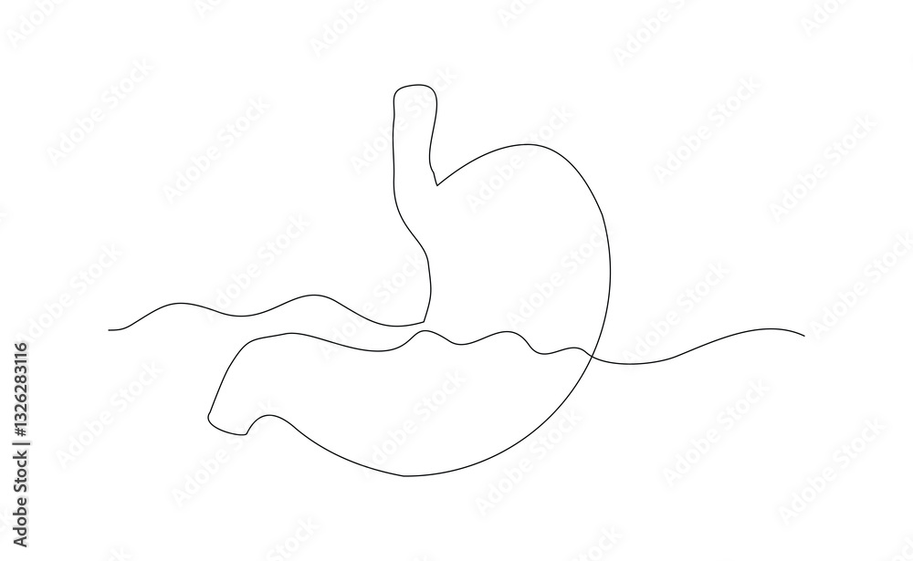 Continuous line of human stomach abdomen organ body anatomy biology ...