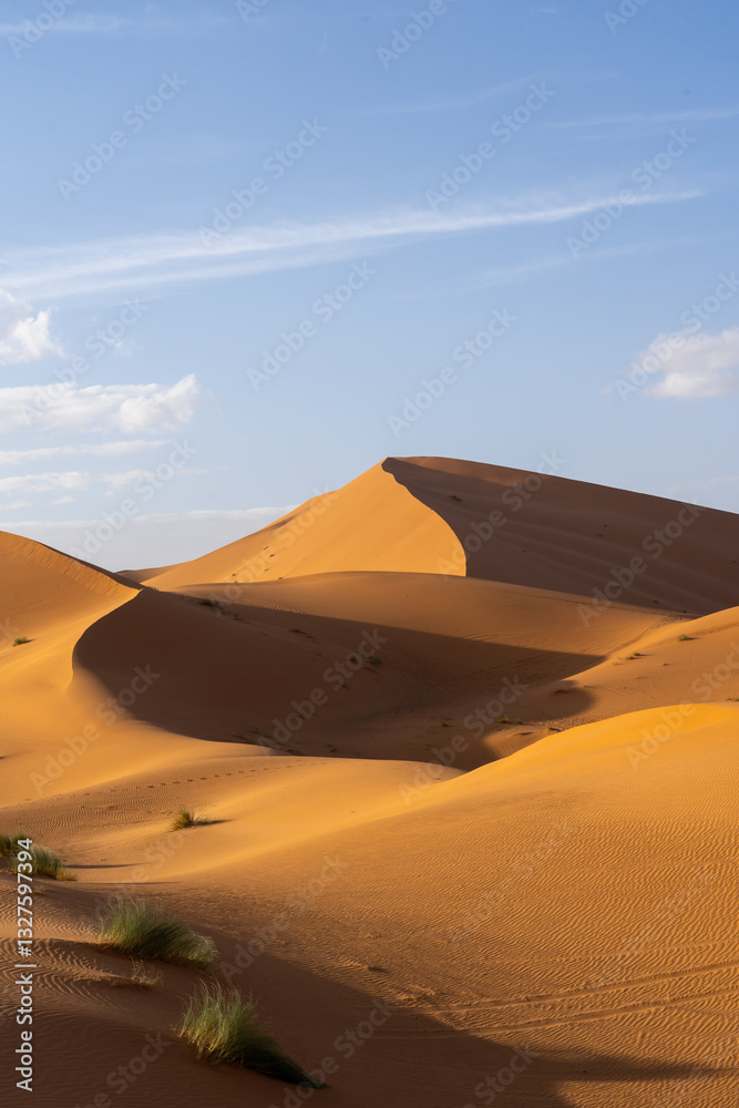 View of Sahara Desert in Morocco, Africa. The Sahara Desert is the ...