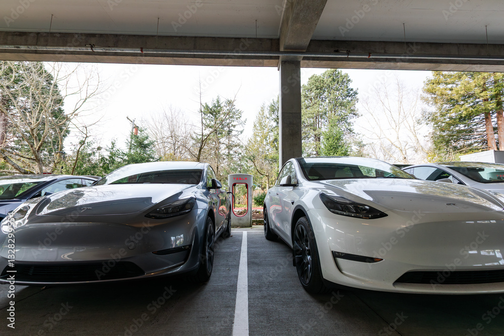 Beaverton, OR, USA - March 9, 2025 - High-Resolution Photo of Tesla ...