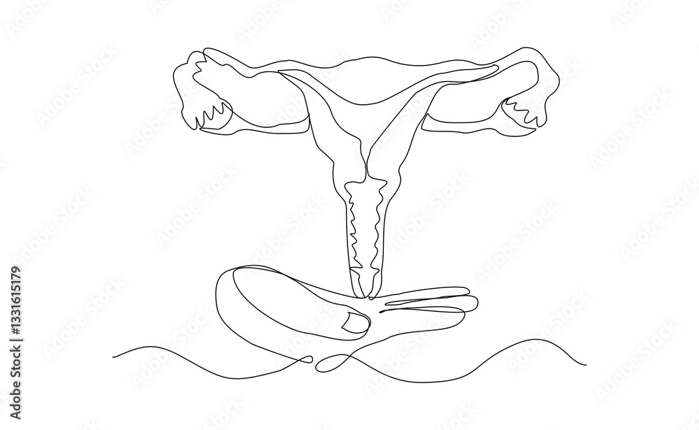 Continuous single line of hand holding uterus ovary cervix anatomy ...