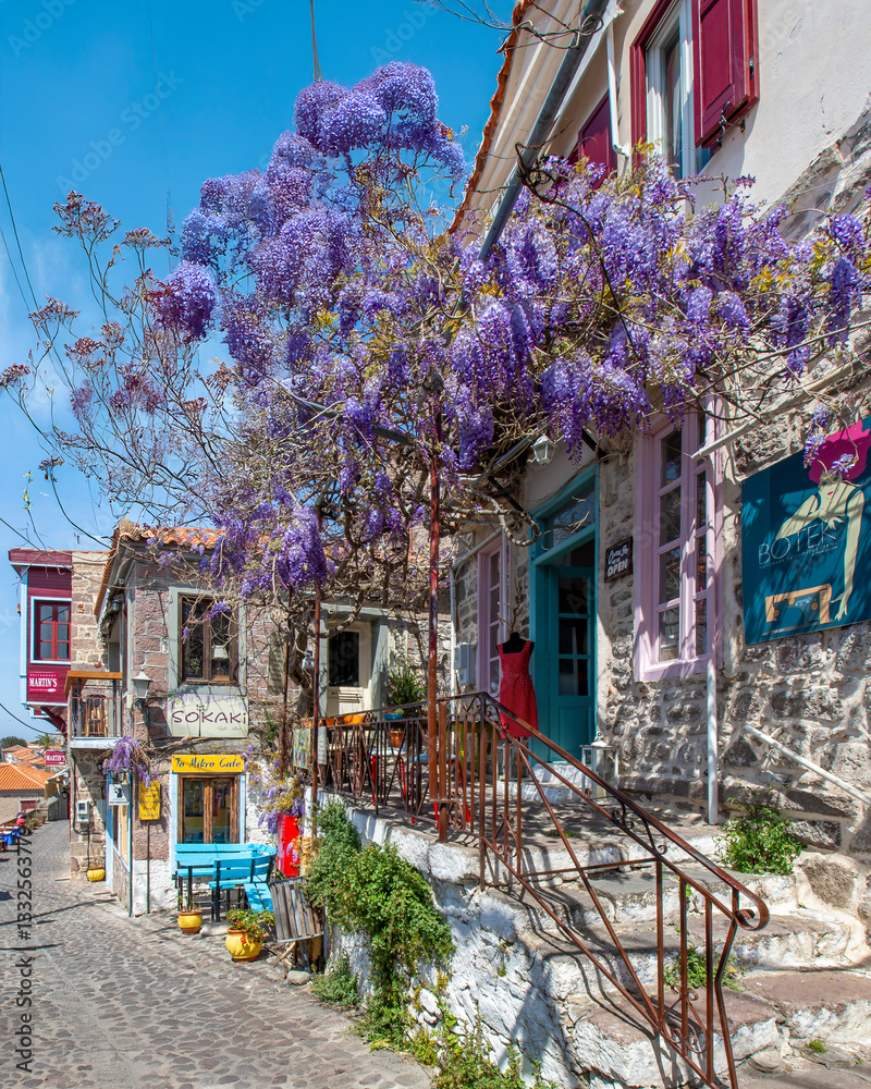 Molyvos on Lesvos is the most beautiful alleyway in the world. Bored ...
