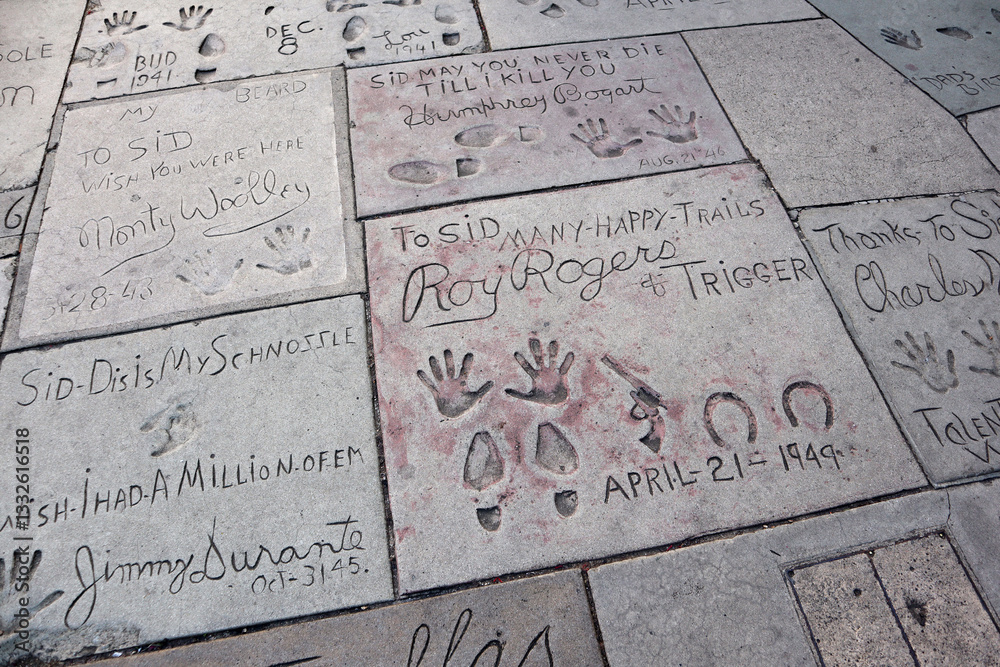 Hollywood (Los Angeles) California – March 8, 2025: TLC Grauman's ...