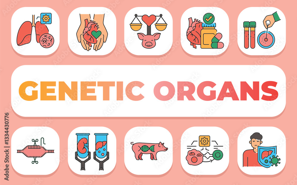 Genetic organs text concept. Shablon for presentation and Infographics ...