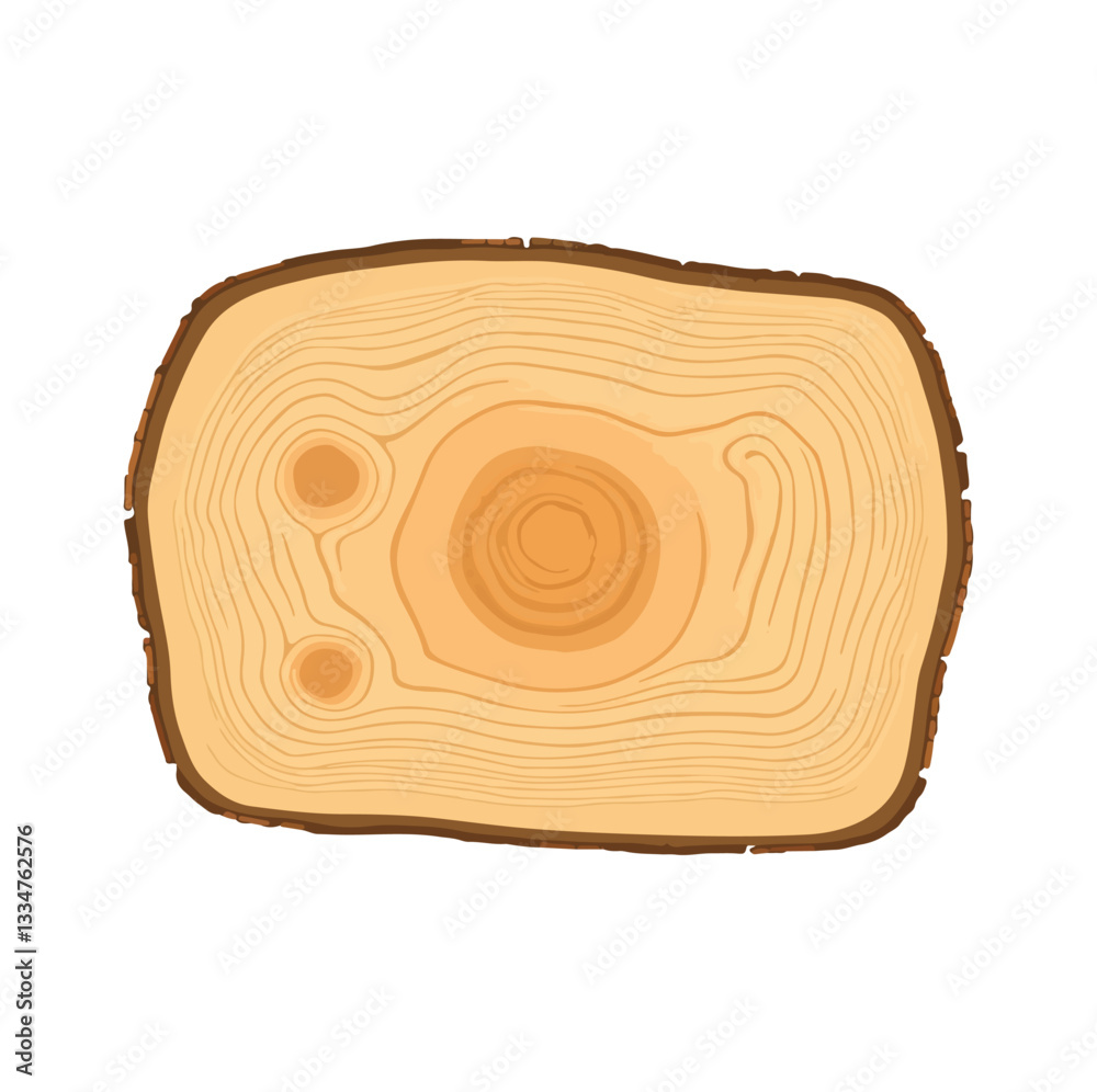 Main types of trunk cuts. Different wood patterns: transverse ...