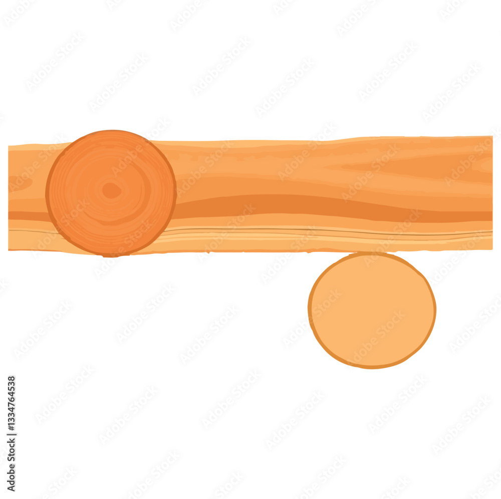 Main types of trunk cuts. Different wood patterns: transverse ...