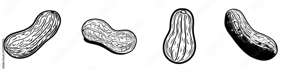 Vector de Stock Various illustrations of peanuts depicting different ...