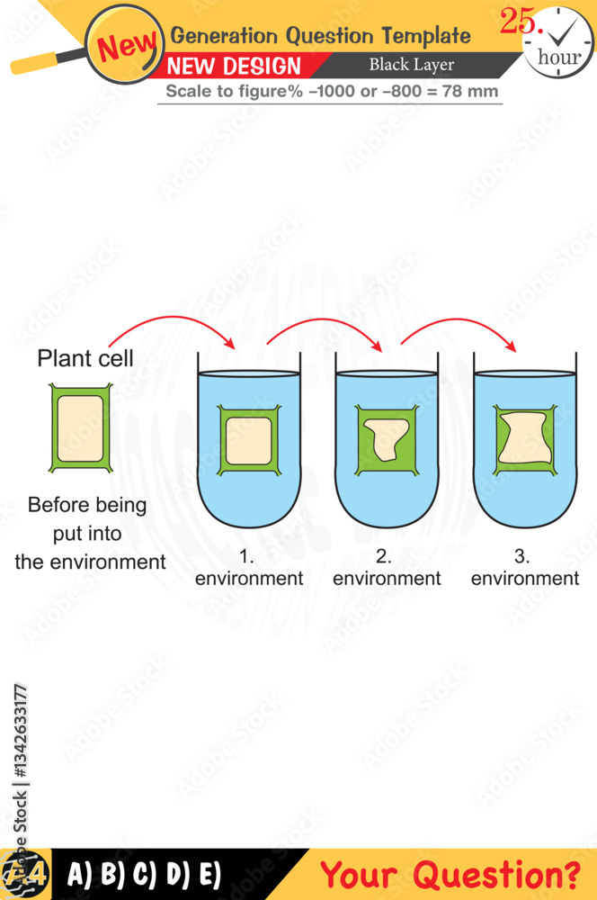 2026, Physics, Physical concepts, High school, middle school, exam ...
