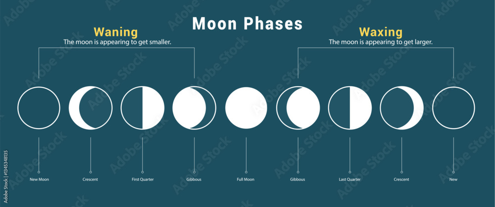 Vector de Stock Moon phases drawing chart clipart set. Moon waning and ...