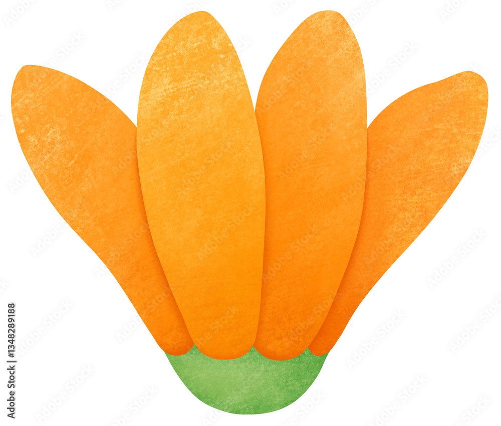 Orange daisy flower clipart. Black eye susan bud. Single isolated ...