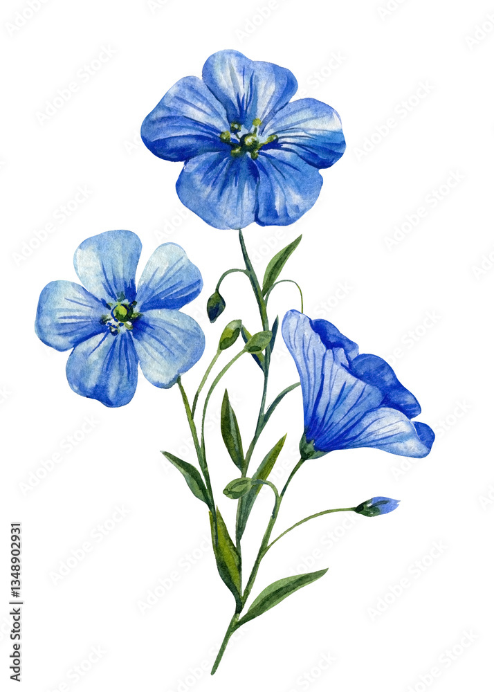 Watercolor blue flax flowers clipart, hand-painted floral botanical ...
