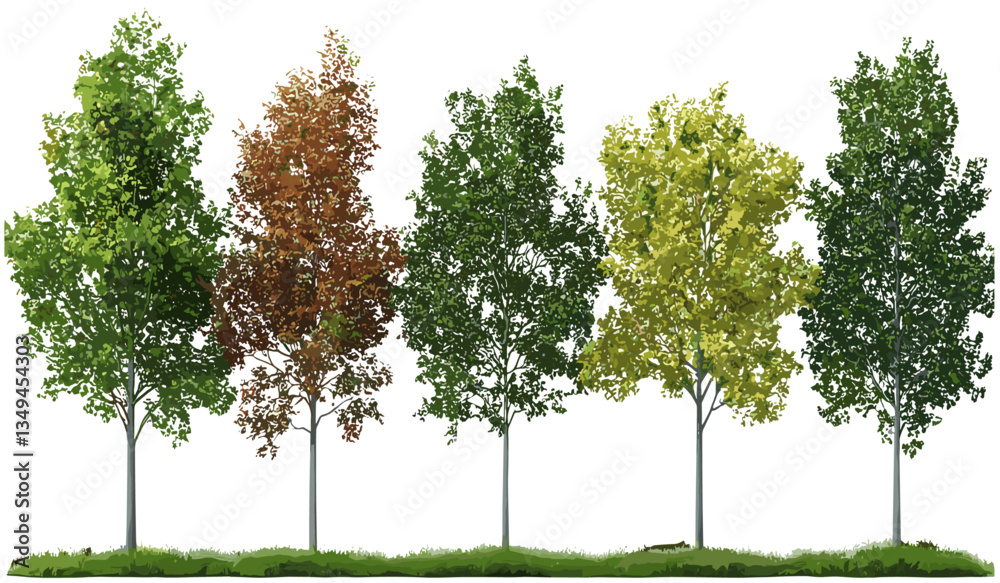 Vector cutout trees shapes, realistic nature backgrounds png ...