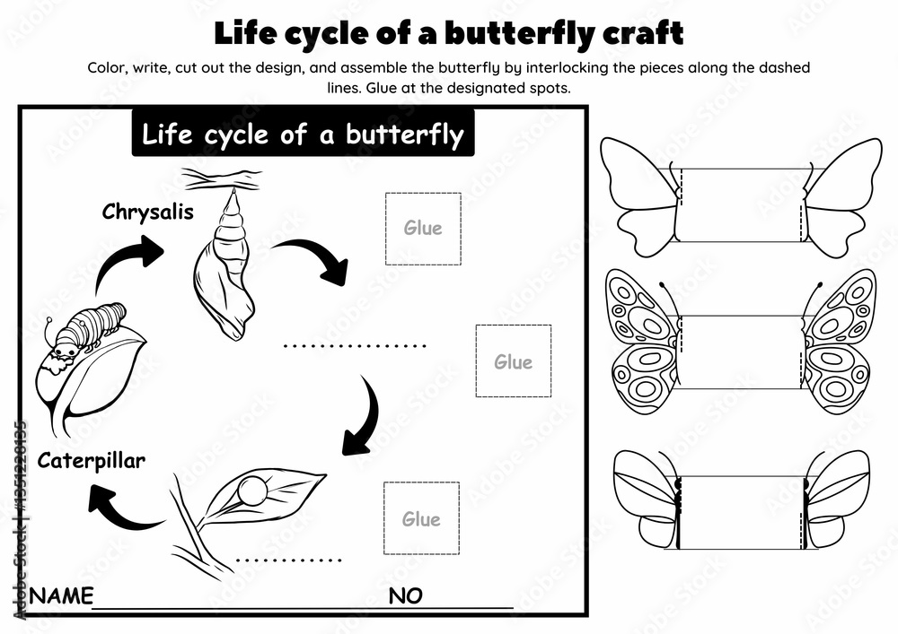 Engaging butterfly life cycle craft! Includes cut-and-paste, coloring ...