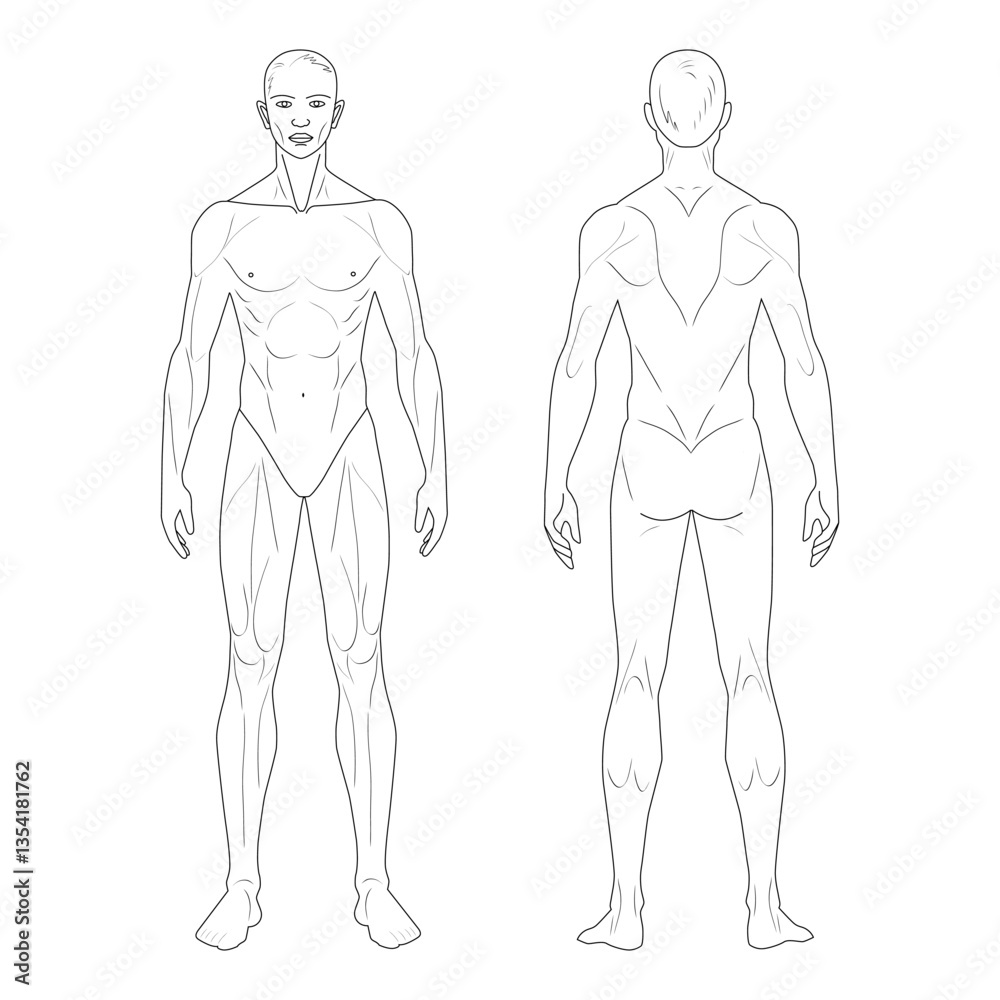 Two male line technical drawing croquis figures in two poses for flat ...