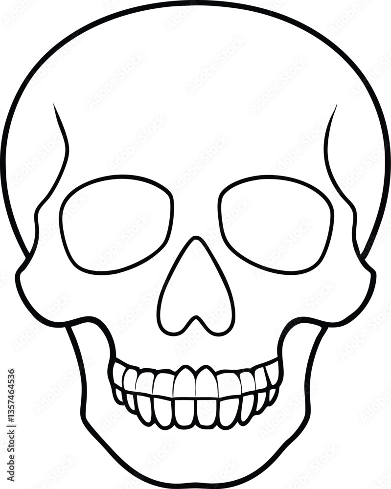 skull outline vector illustration, human skull line art vector Stock ...