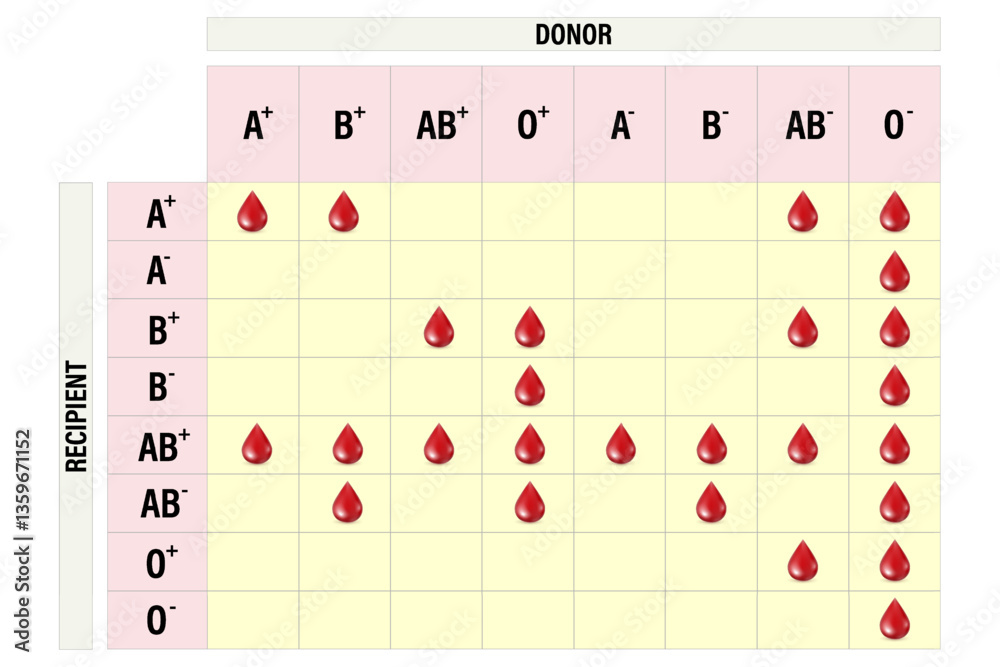 ABO Blood Compatibility Chart. Blood types, A,B, AB and O groups ...