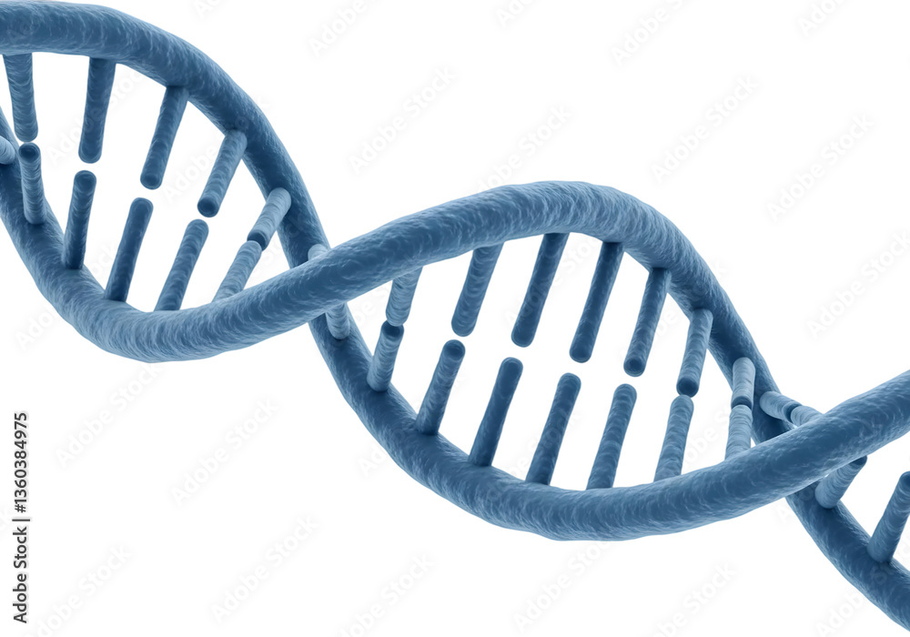 High-Resolution Digital Representation of a DNA Double Helix Structure ...