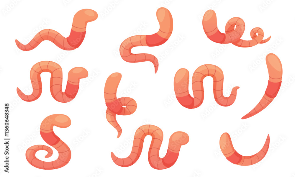Stock-Vektorgrafik „Vector set of cartoon worms in different poses ...