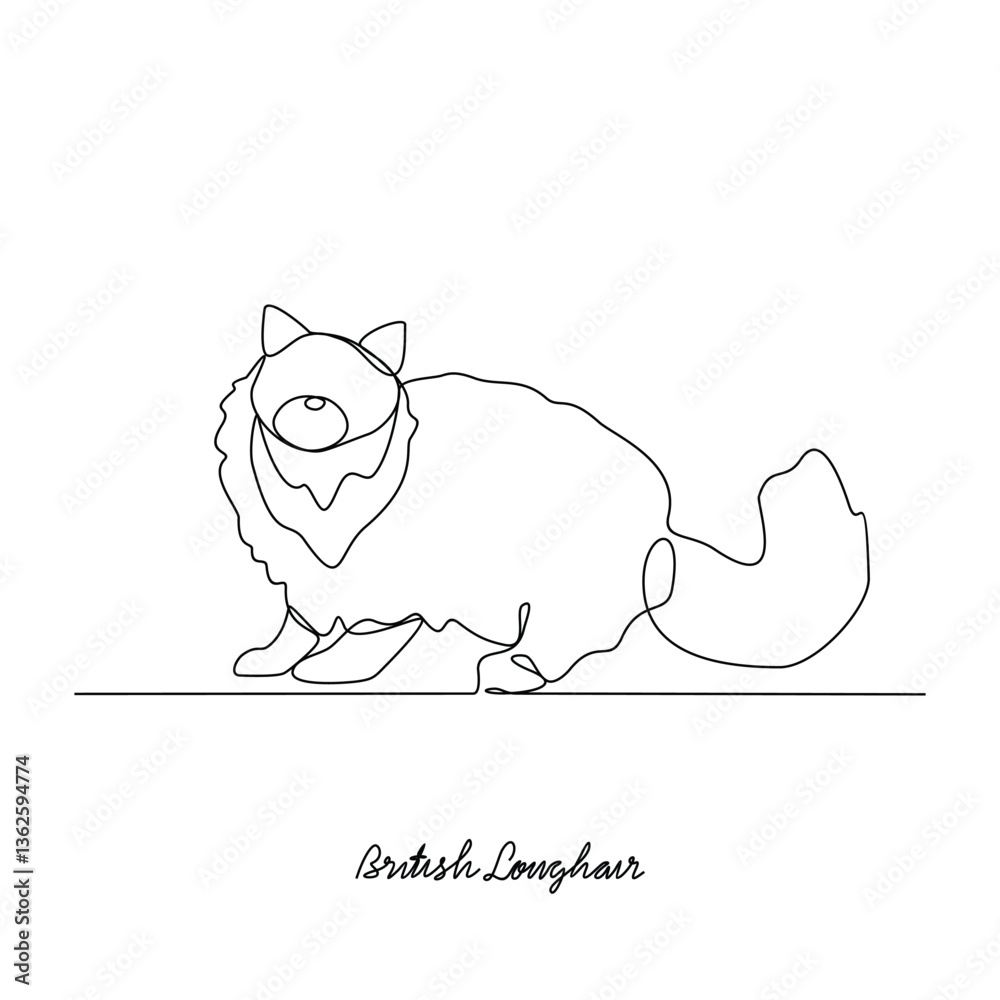 One continuous line drawing of British Longhair Cat Vector. Various of ...