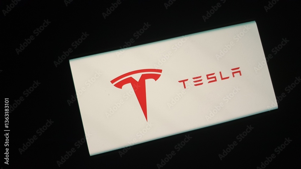 New Delhi, India - March 26 2025: Tesla logo appears on smartphone ...