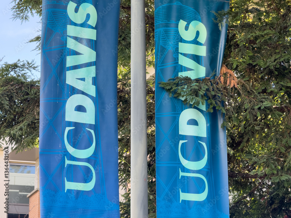 UC Davis California campus signs on a pole. Stock Photo | Adobe Stock