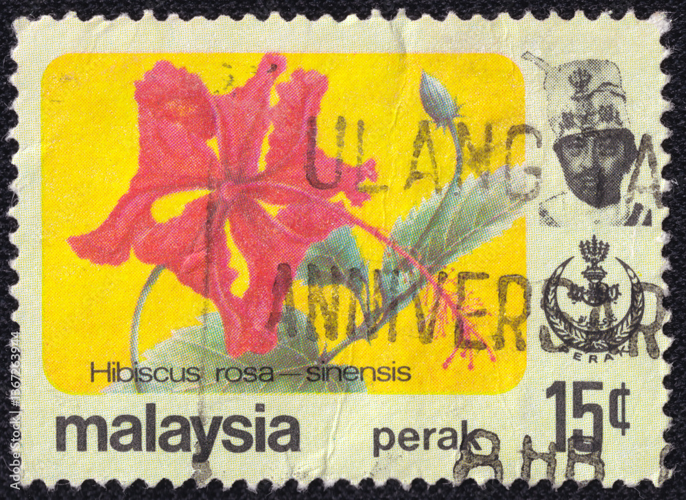Stamp from Malaysia shows Hibiscus rosa-sinensis, also known as Chinese ...