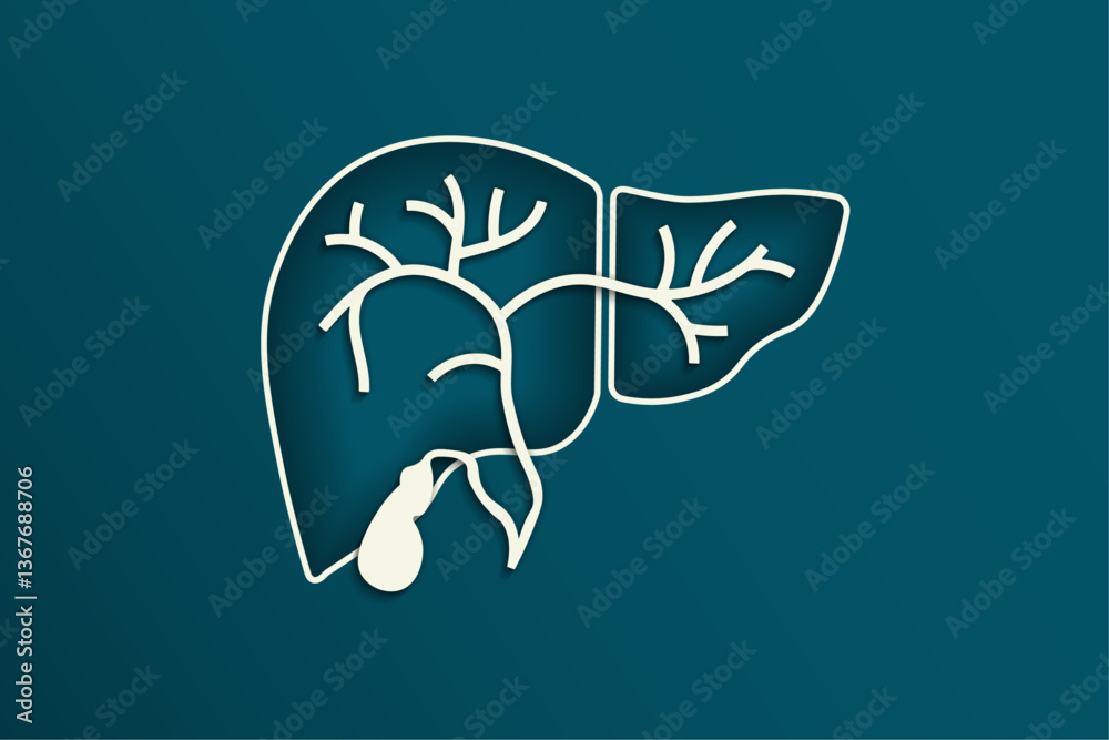 Internal Organ Liver anatomy illustration with gallbladder, common bile ...