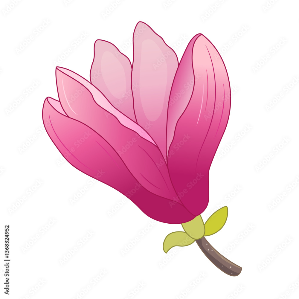 Vector de Stock Pink flower of magnolia tree isolated. Beautiful bloom ...