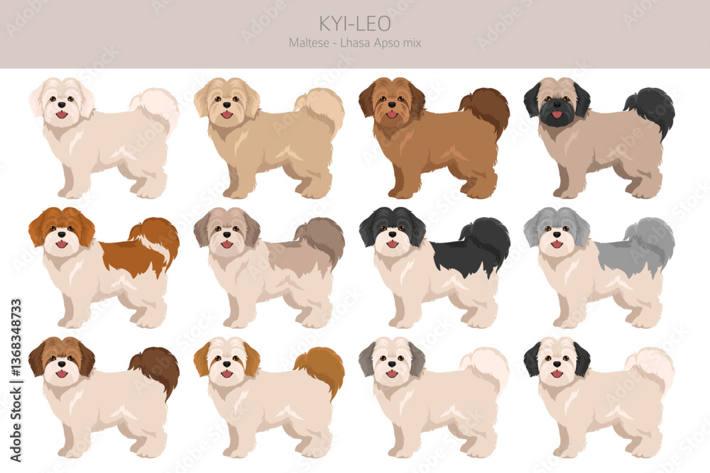 Kyi-Leo dog clipart. Maltese Lhasa Apso mix. Different coat colors set ...