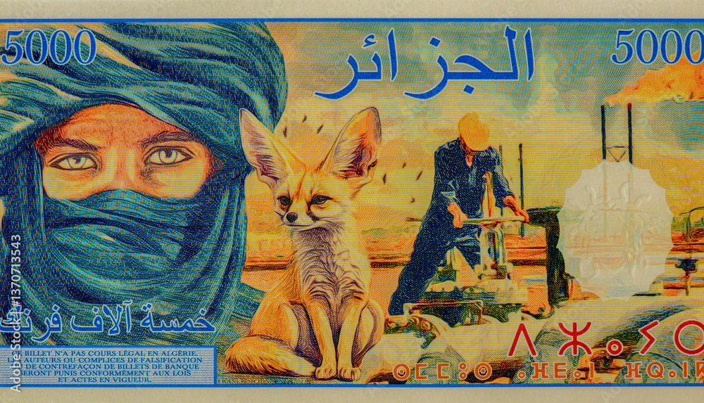 Arab man, Tuareg, fennec and gas complex. Fantasy Art Fennec fox Sahara ...