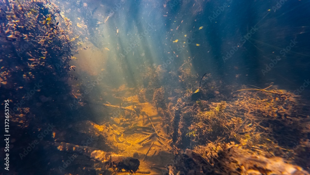 shallow freshwater river Buher in Lityn, fast flow riverbed, sun ray in ...