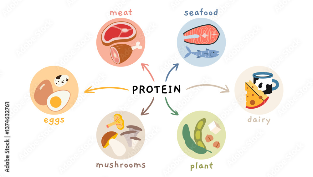 Different sources of protein infographics, including meat, seafood ...