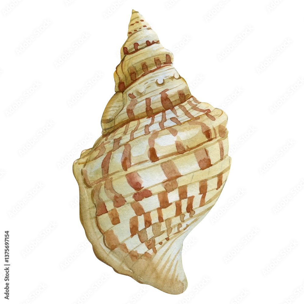 Watercolor Spotted Spiral Seashell. Hand Painted Tropical Ocean Shell ...