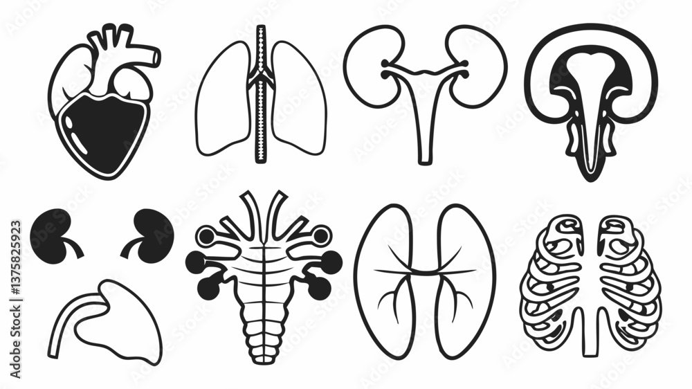 "Stroke icon collection of internal organs: heart, lungs, kidneys, and ...