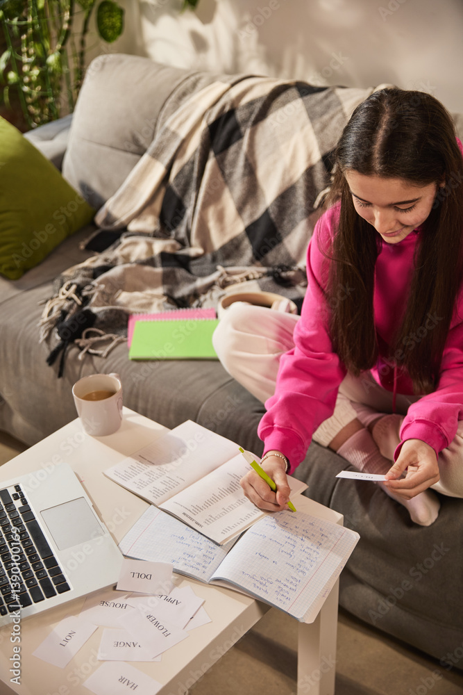 Girl sitting on couch in pink hoodie, reviewing flashcards and writing ...
