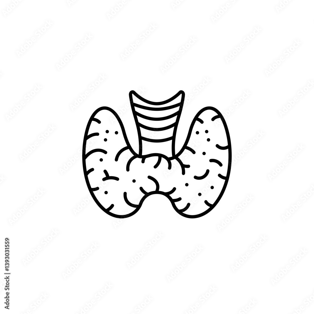 Thyroid Gland Anatomy: A detailed monochrome illustration of the ...