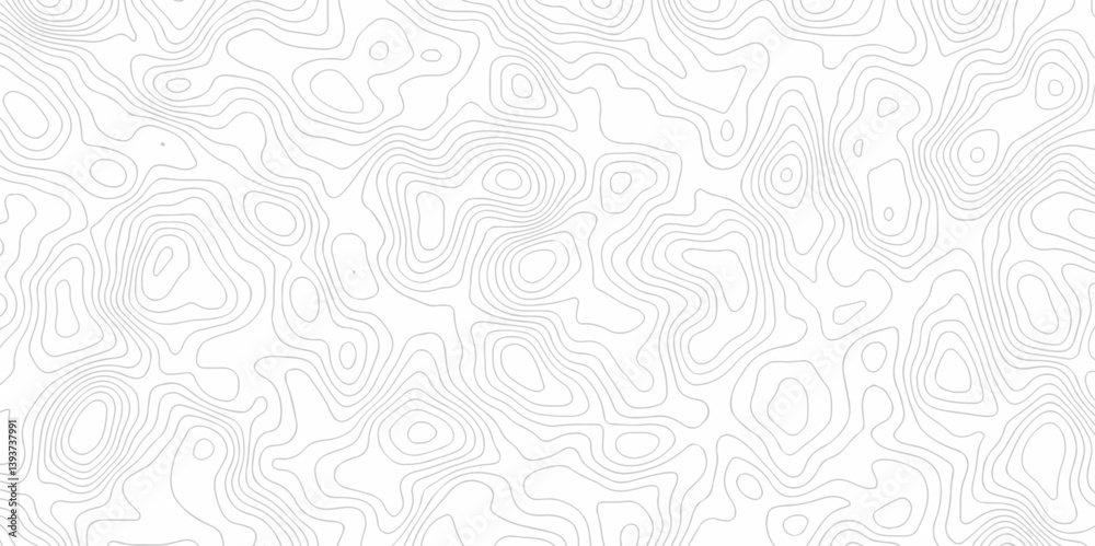 Abstract curve grid map and topo contour map on white background, Topographic contour lines ...