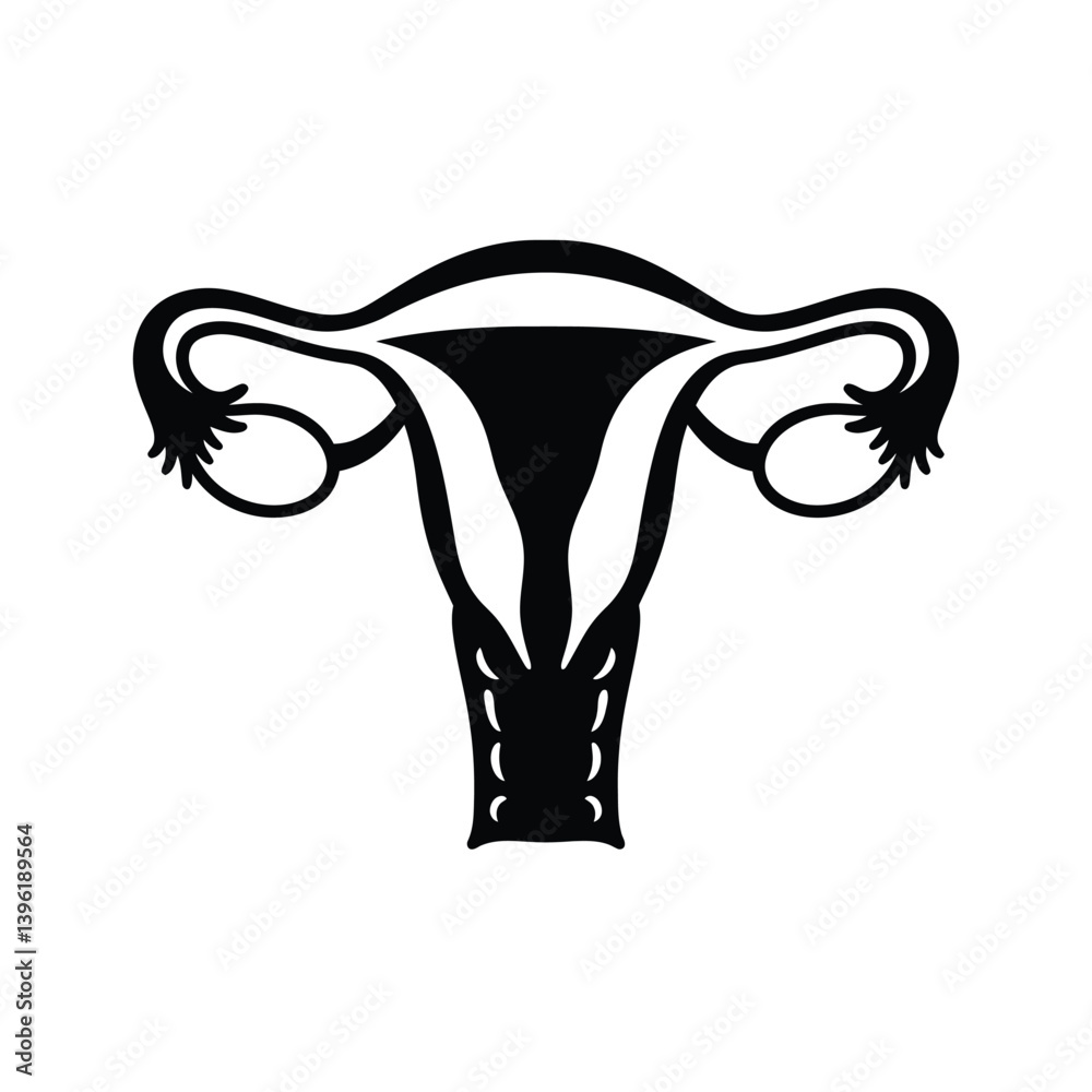 Female Reproductive System Anatomy Illustration Monochrome Silhouette ...