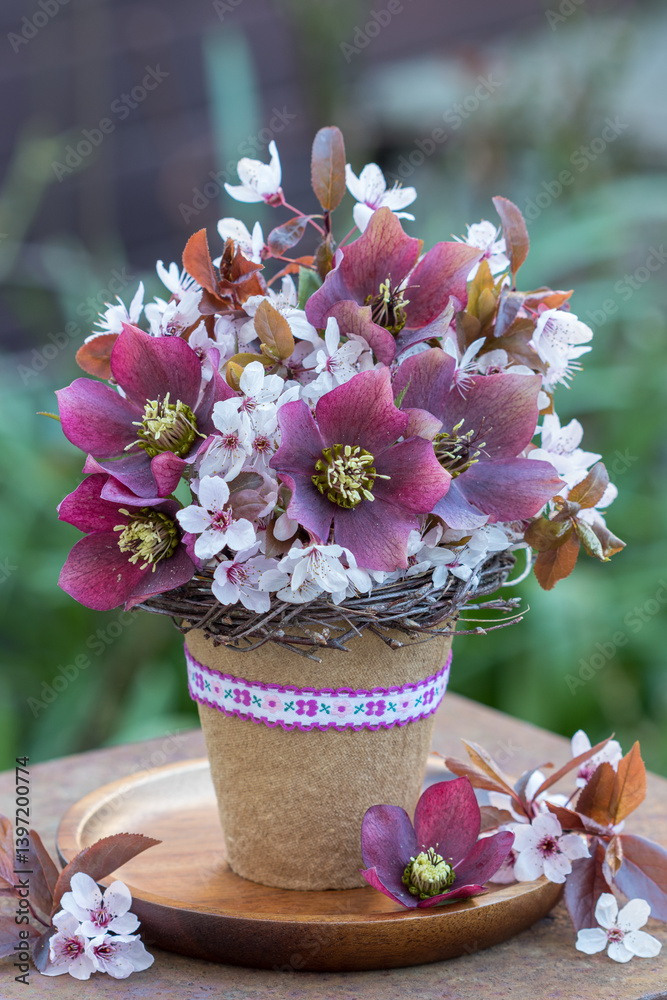 Blumenstrauß mit pink Lenzrose (Helleborus orientalis) und Blutpflaumen ...