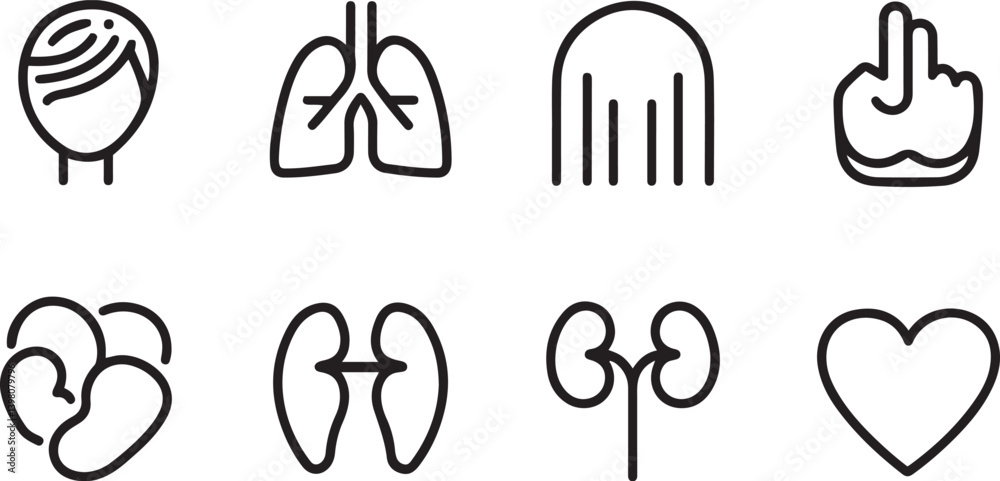 Minimalist medical icons, black and white line drawings, human organs ...