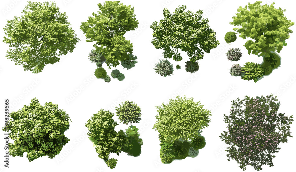 Gardening outdoors trees set, cutout top view trees, landscaping ...