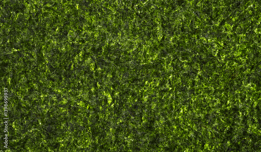 Dried sheet seaweed texture as background, top view. Crispy laver nori ...