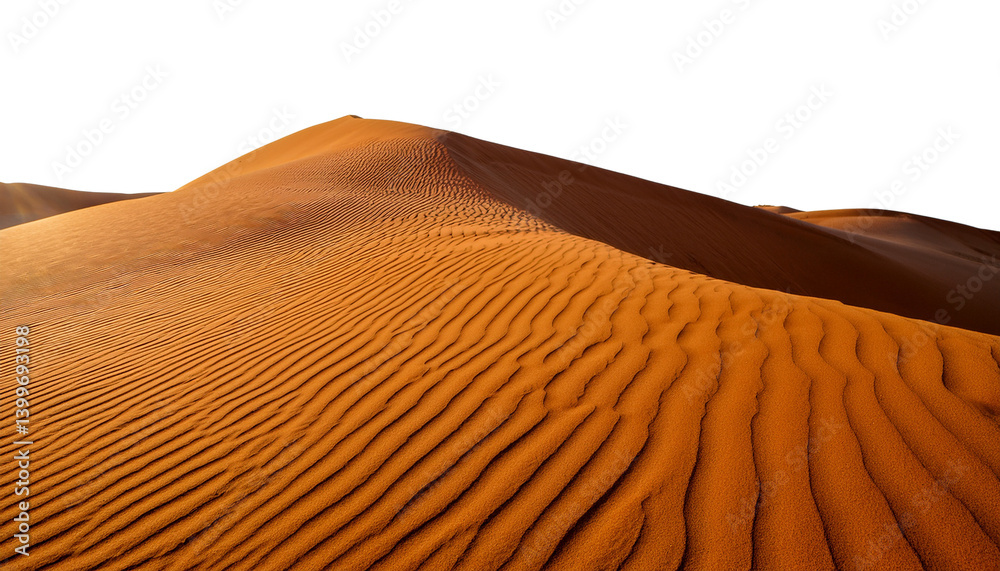 Single desert dune with wind patterns, realistic sand texture, on ...