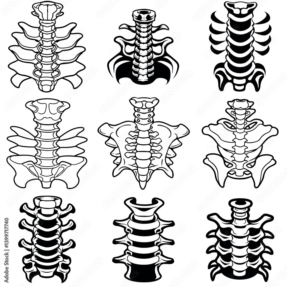 Collection of Nine Detailed Illustrations vector illustration of the ...