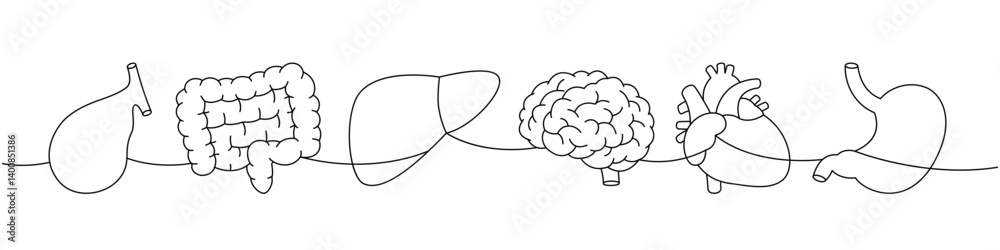 Set of human organ one line continuous drawing. Gallbladder, intestines ...