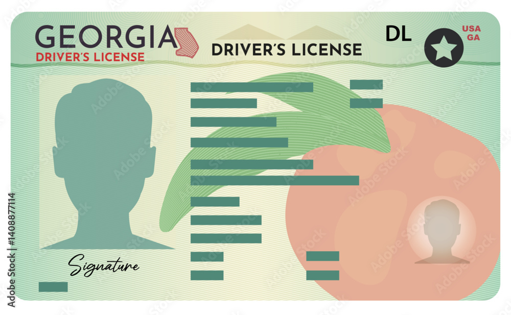 Georgia driver's license. Person driver license isolated on white ...