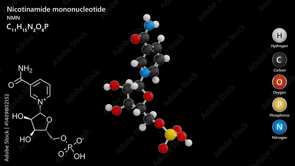 Nicotinamide Mononucleotide molecule. Molecular structure. Formula ...