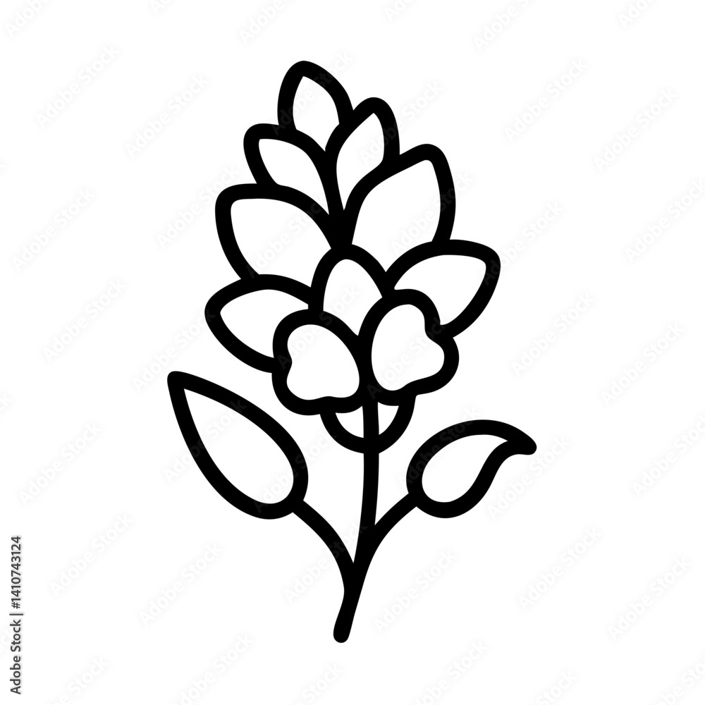 snapdragon flower line drawn vector art - illustration snapdragon ...