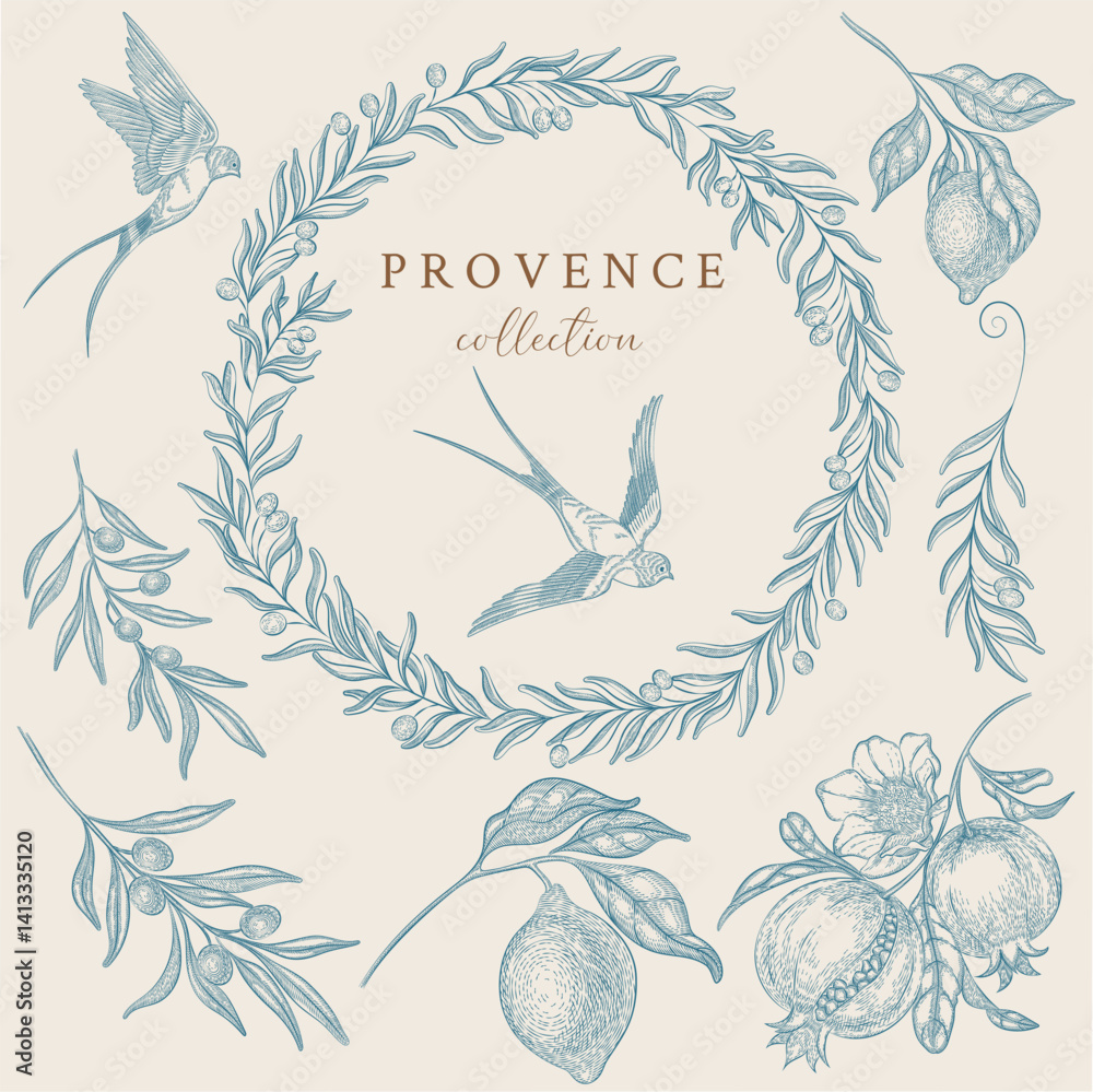 Provence floral engraving frames. Botanical wreaths and borders for ...